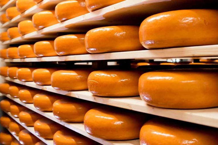 Boerenkaas - Rezepte Blog - Ein Topf Heimat